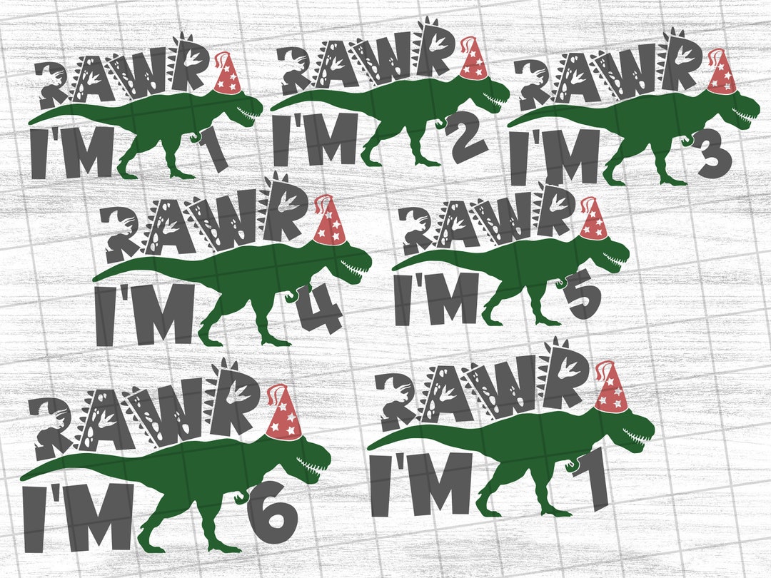 Dinosaur Birthday Boy ,birthday Saurus, Kids Dinosaur Birthday, Dino ...