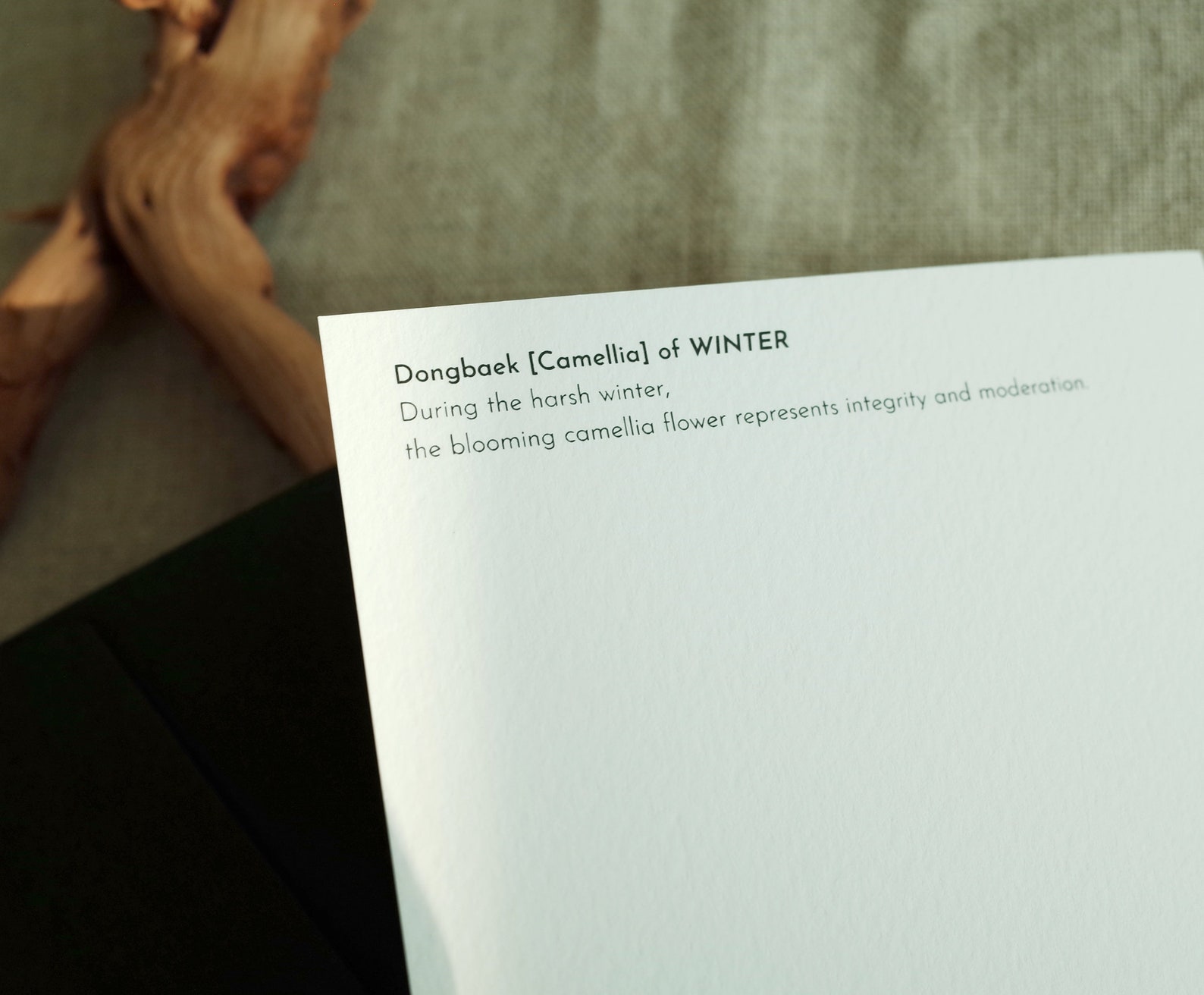 Asian Floral Greeting Card, Korean Classic Card - Etsy