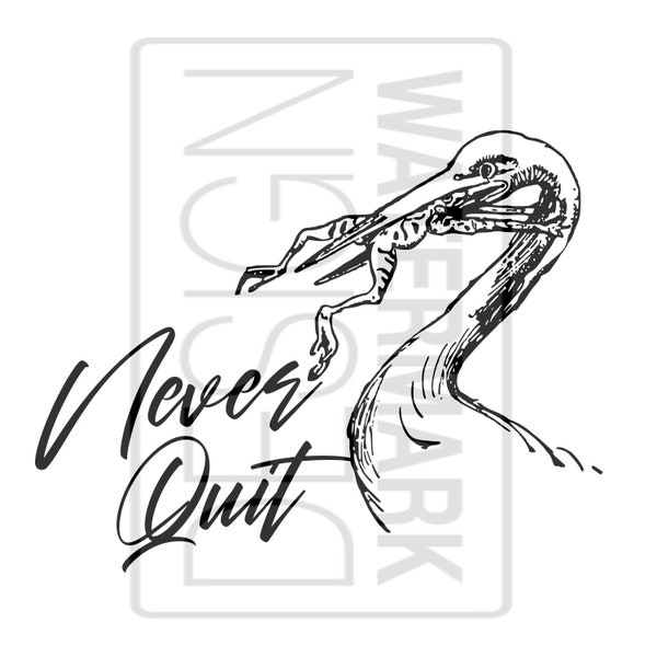 Never Give up Frog - Etsy
