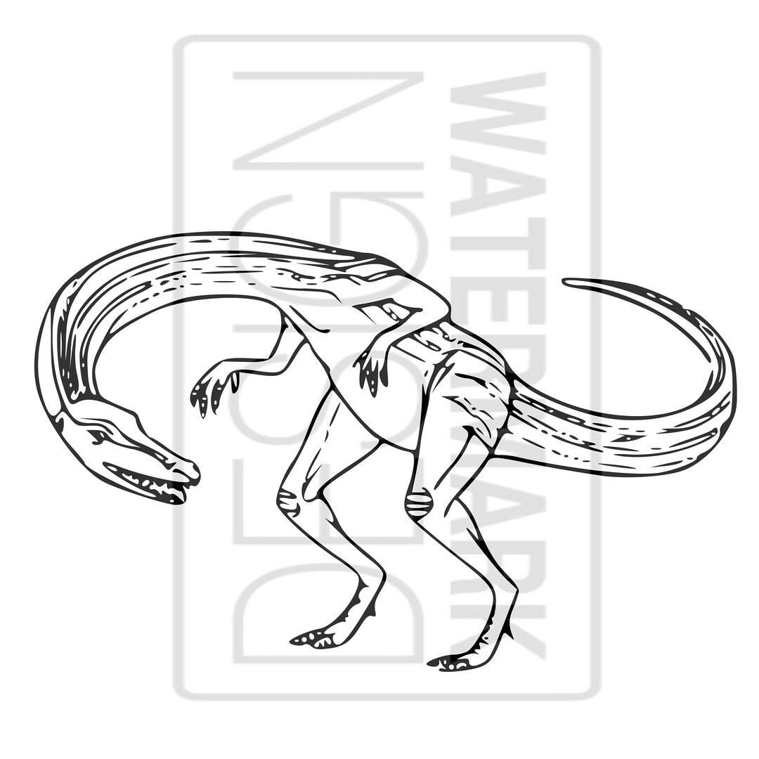 Coelophysis Drawing