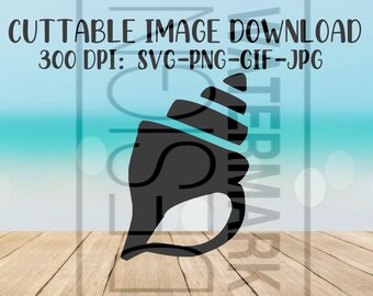 Seashell SVG Vector - Etsy