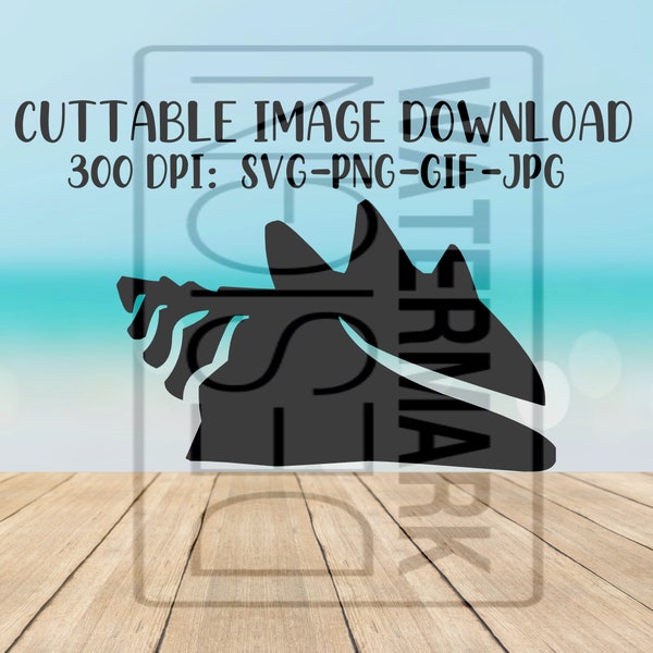 Conch Shell Svg - Etsy