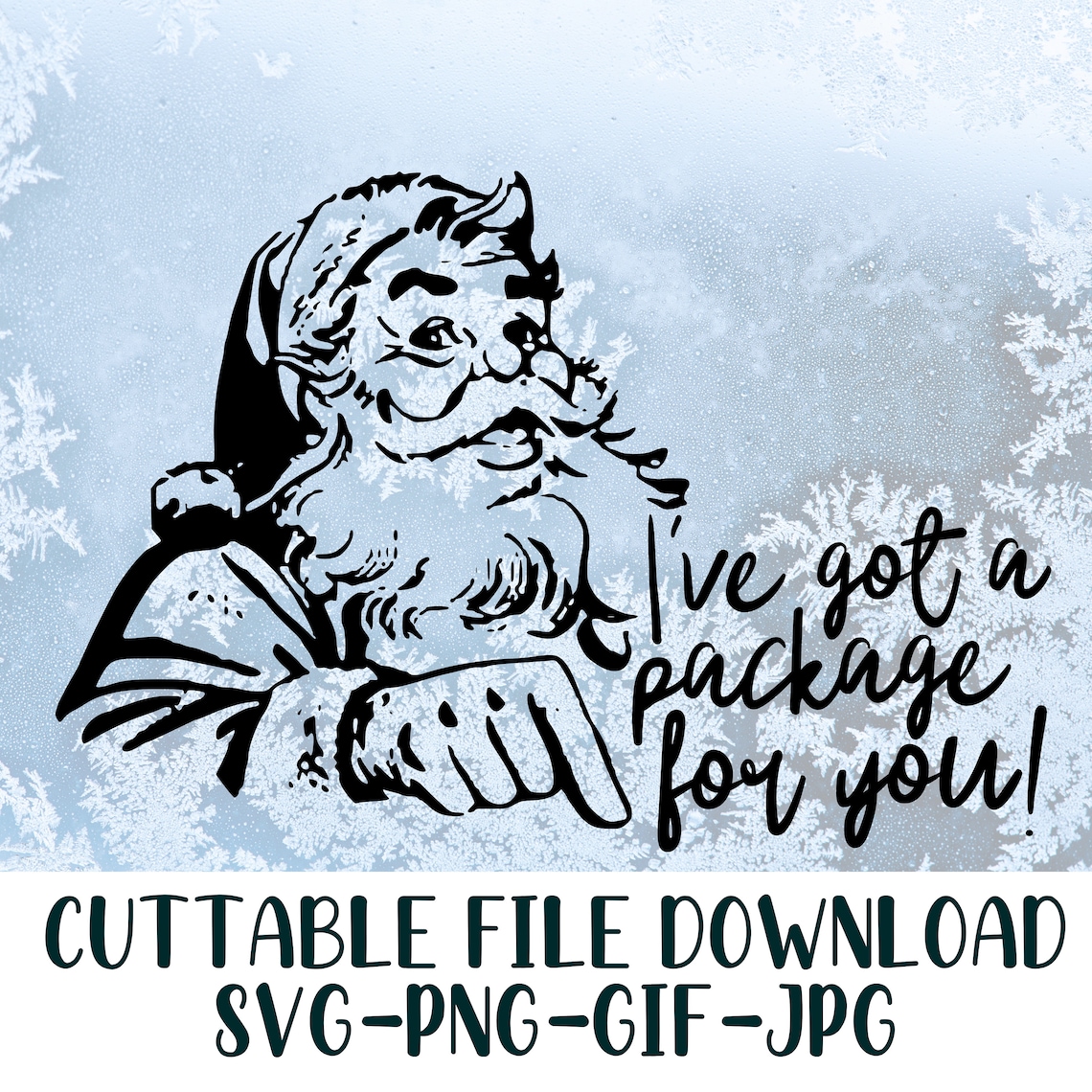 I've Got a Package for You Men's Christmas Santa | Etsy