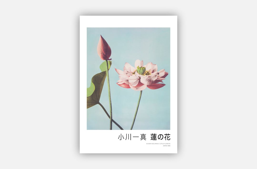 Lotus Flower Print, Lotus Flower Wall Art, Lotus Flower Wall Decor ...