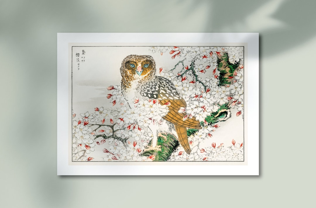 Japanese Owl Print , Japanese Art Print, Japanese Painting, Cherry ...