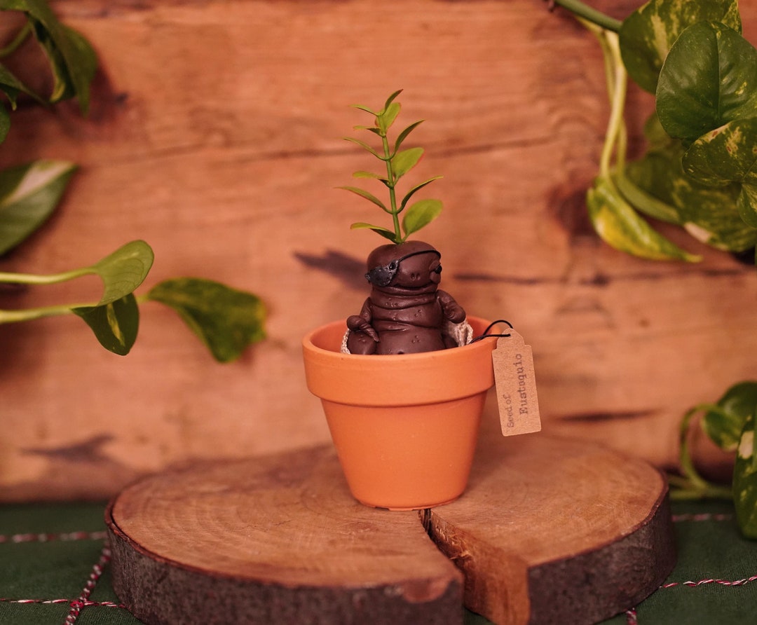 Eustacio the Mandrake. Mandrake Figure. Potted Mandrake. - Etsy