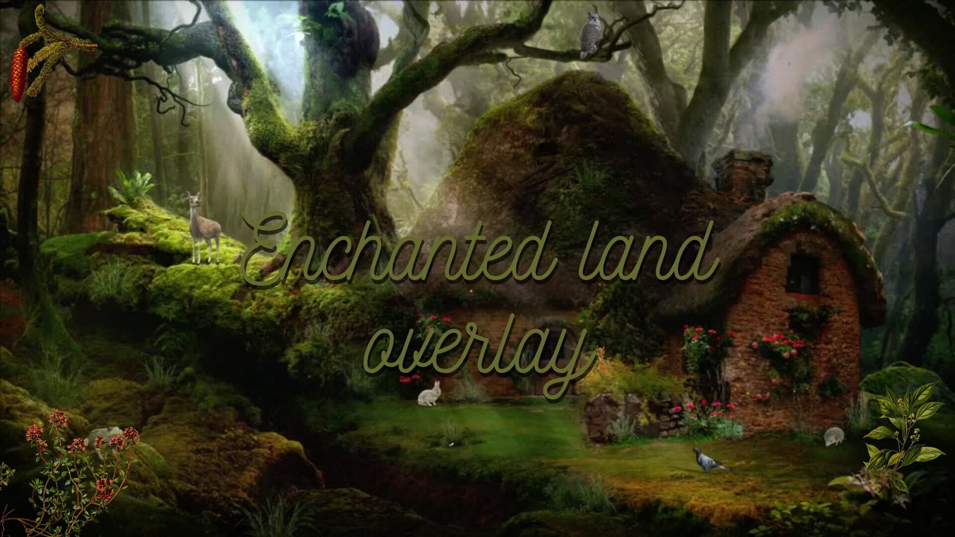 Animated enchanted Land Twitch Overlay Forest - Etsy