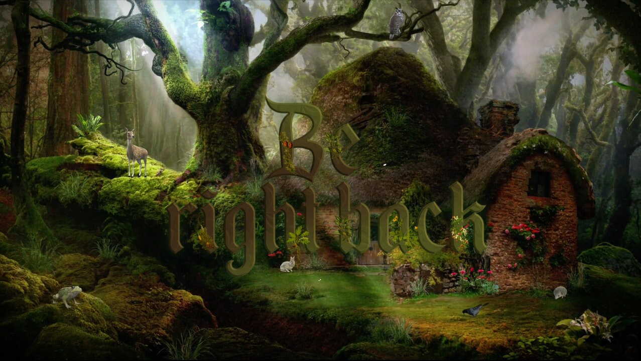 Animated enchanted Land Twitch Overlay Forest - Etsy