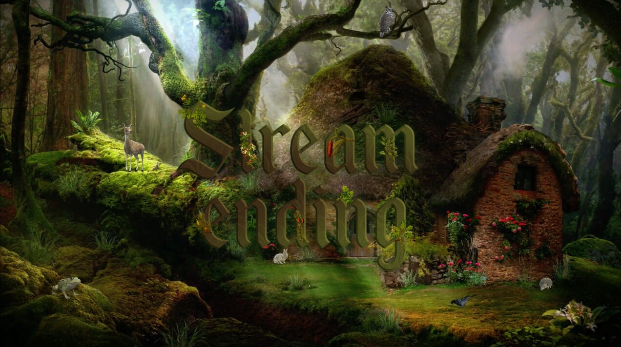 Animated enchanted Land Twitch Overlay Forest - Etsy