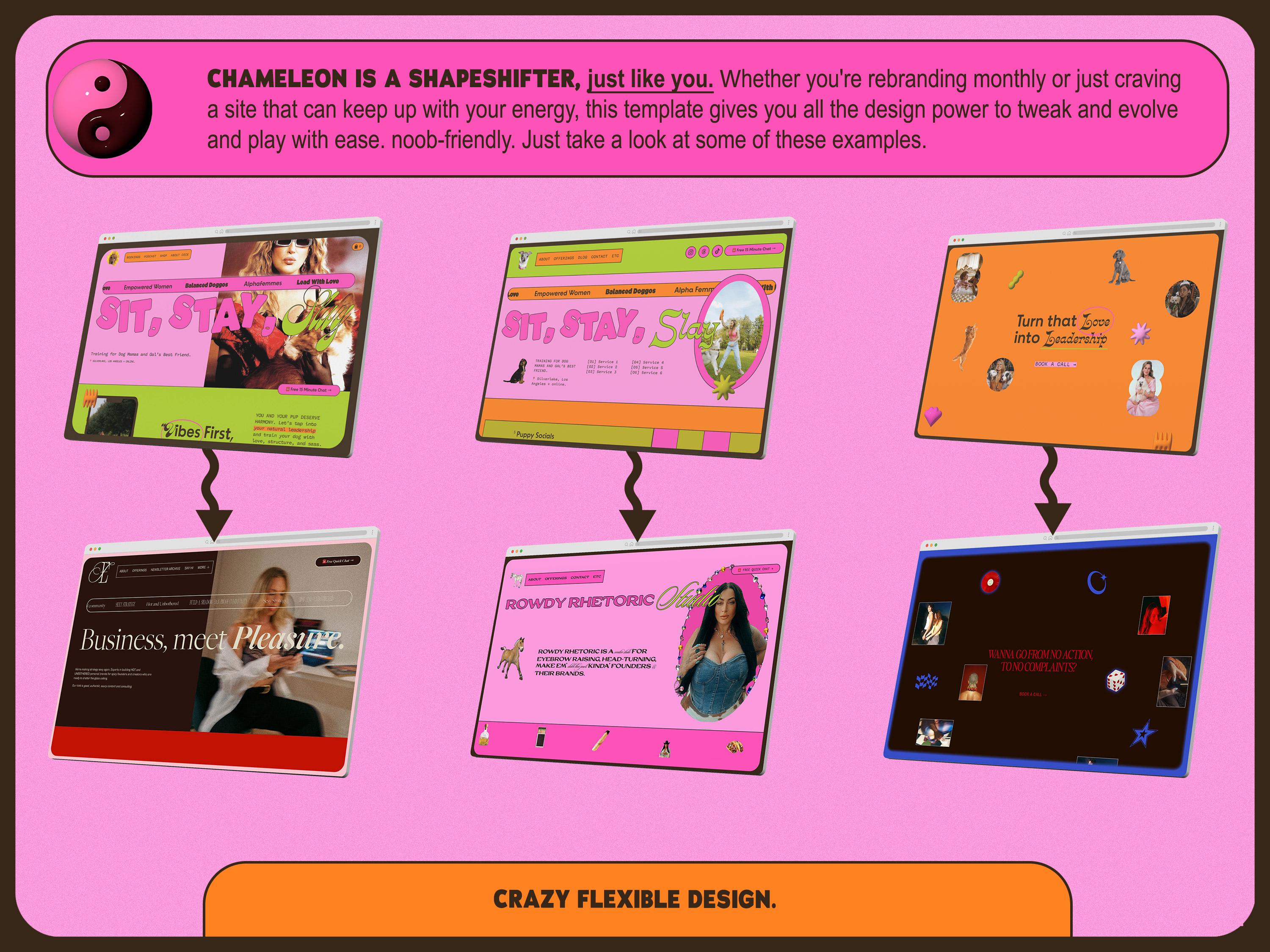 Chameleon Squarespace 7.1 Website Template for Coaches & Creatives ...