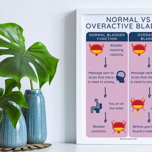 Bladder Poster Pelvic Floor Poster Bladder Art Pelvic | Etsy