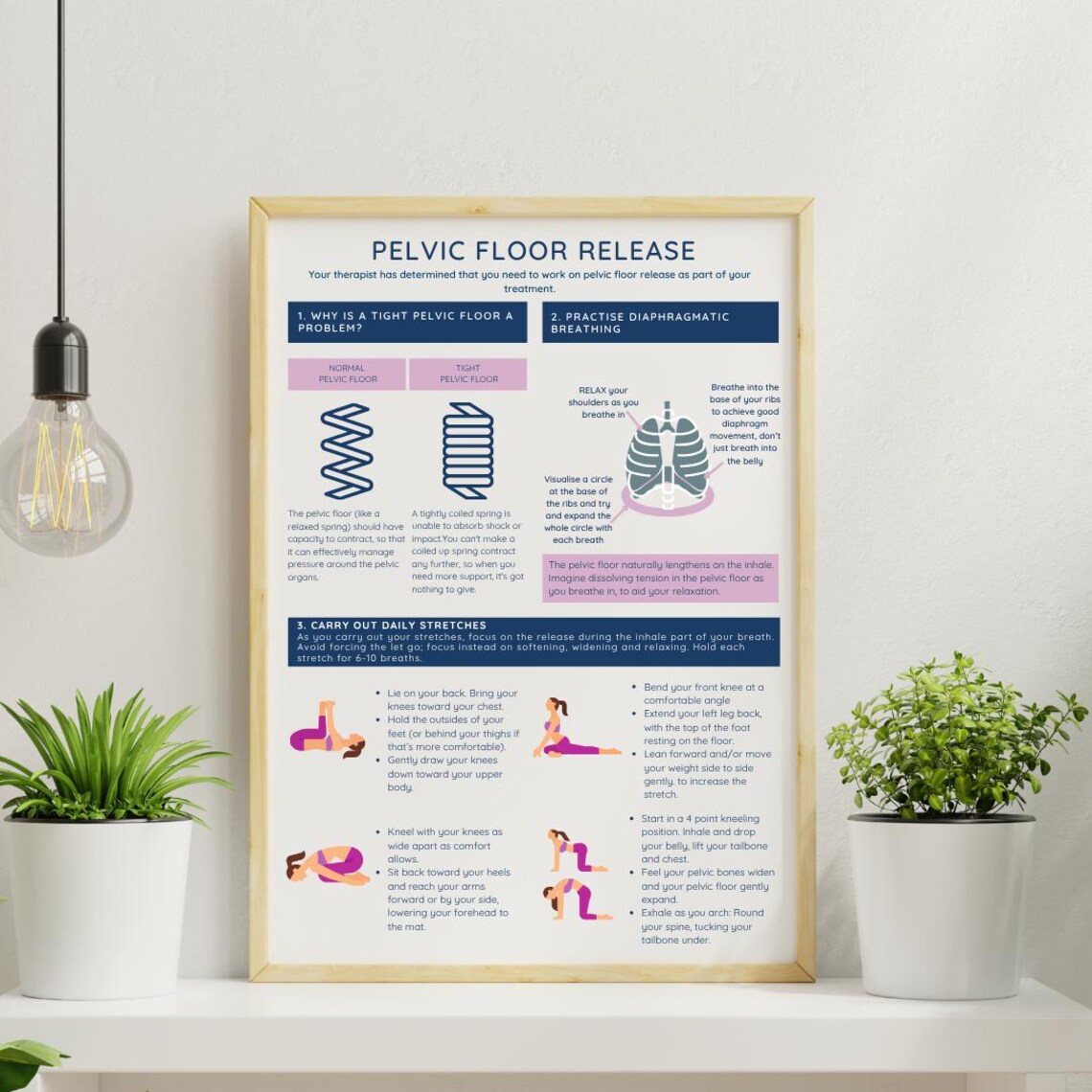 Pelvic Floor Stretches Handout | Patient Education (digital Download ...