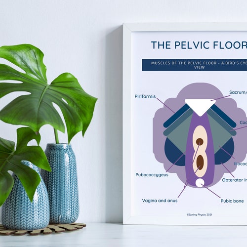 Trigger Points In Pelvic Floor Anatomy Poster Art Etsy
