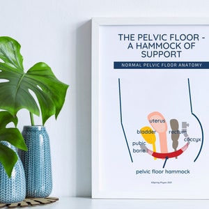 Pelvic Floor Poster Bundle of 3 Prints | Pelvic Floor Art | Pelvic ...