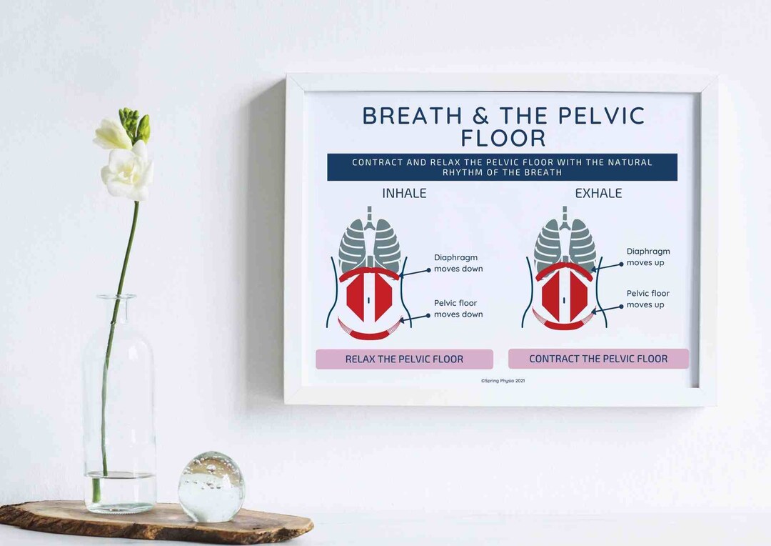 Physical Therapy Pelvic Floor Poster Pelvic Floor Physical Therapy Art Pelvic Floor And