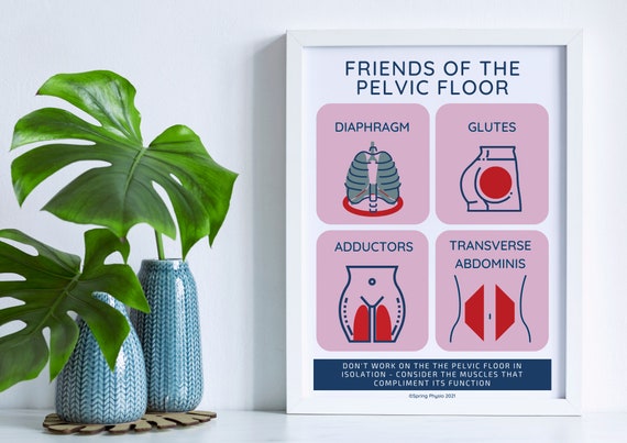 Friends of the Pelvic Floor Poster Pelvic Floor Art Pelvic | Etsy