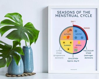 Menstrual Cycle Poster - Etsy