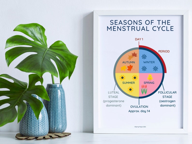 Seasons of the Menstrual Cycle Digital Poster | Hormone Cycle | Female ...