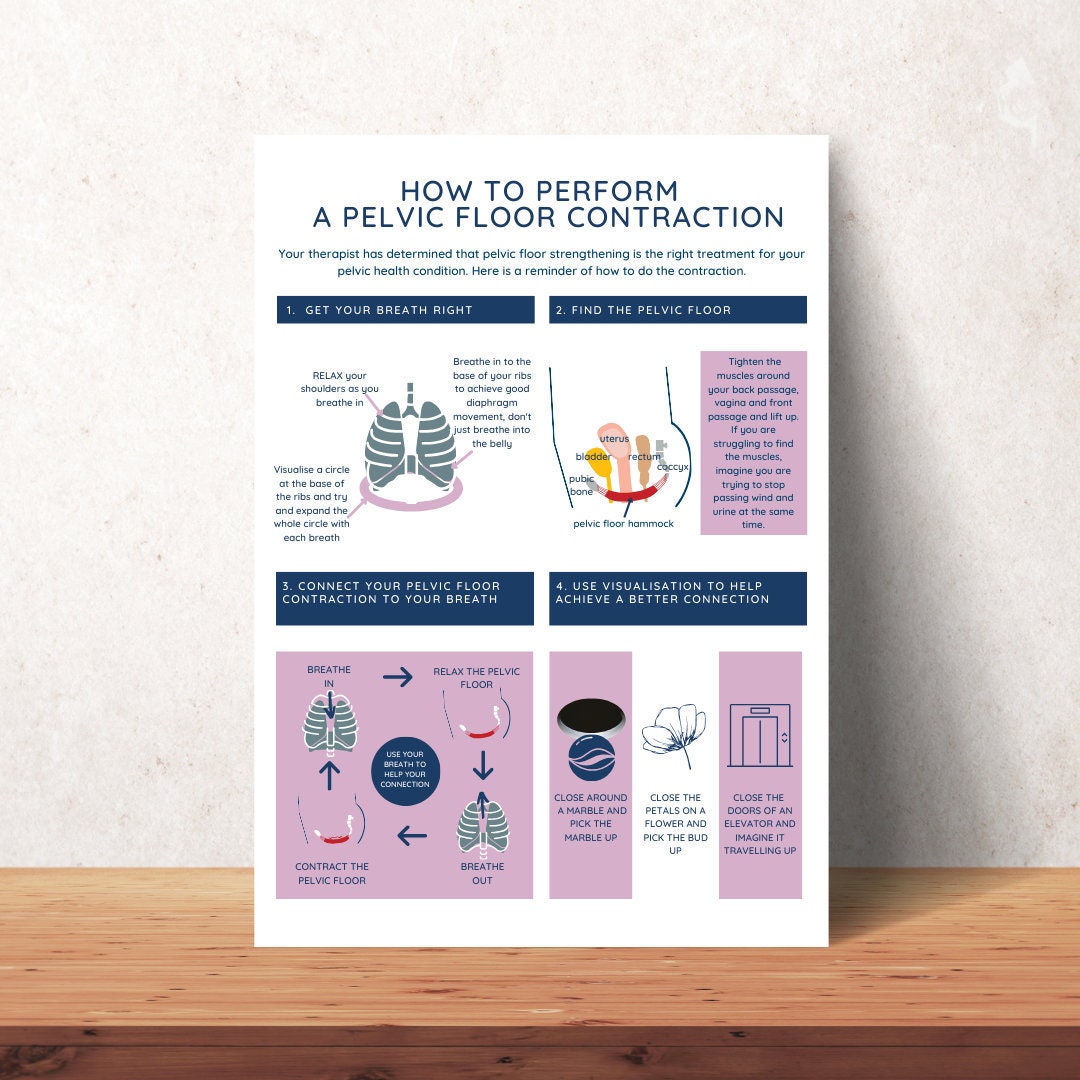 Pelvic Floor Health Education Handout PDF | Pelvic Floor Strengthening ...