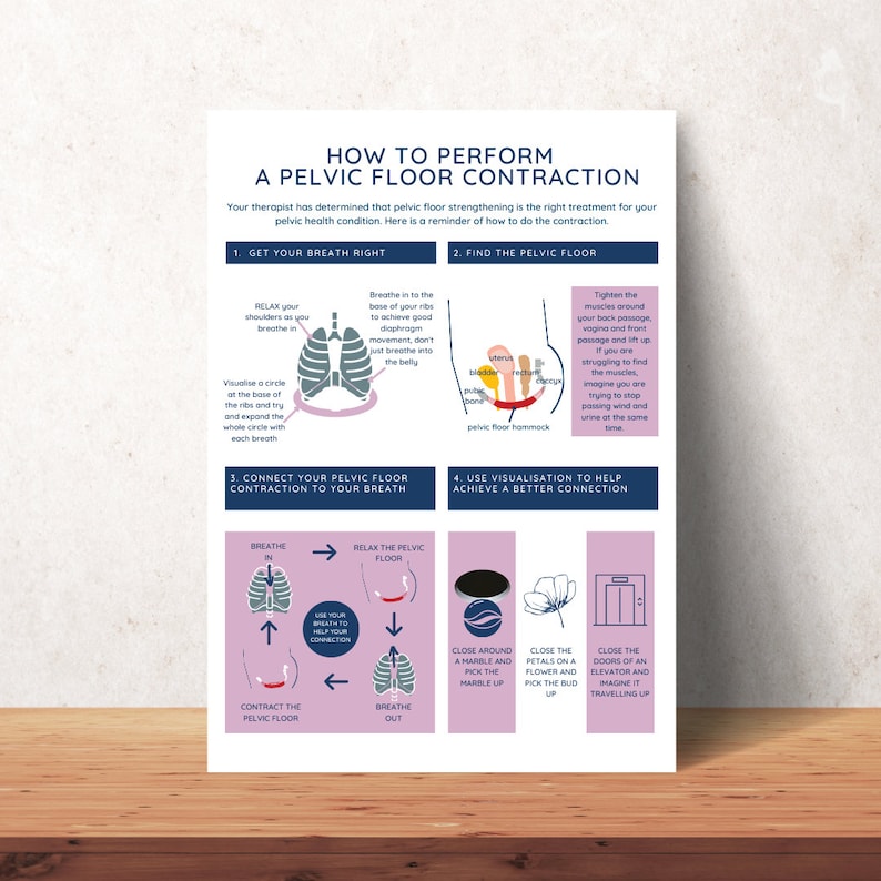 Pelvic Floor Health Education Handout PDF | Pelvic Floor Strengthening ...