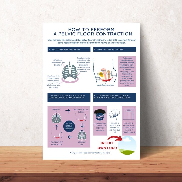 Pelvic Floor Handout - Etsy