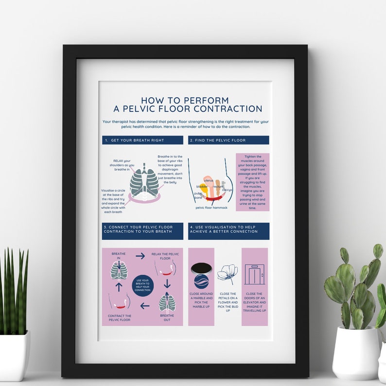 Pelvic Floor Health Education Handout PDF | Pelvic Floor Strengthening ...