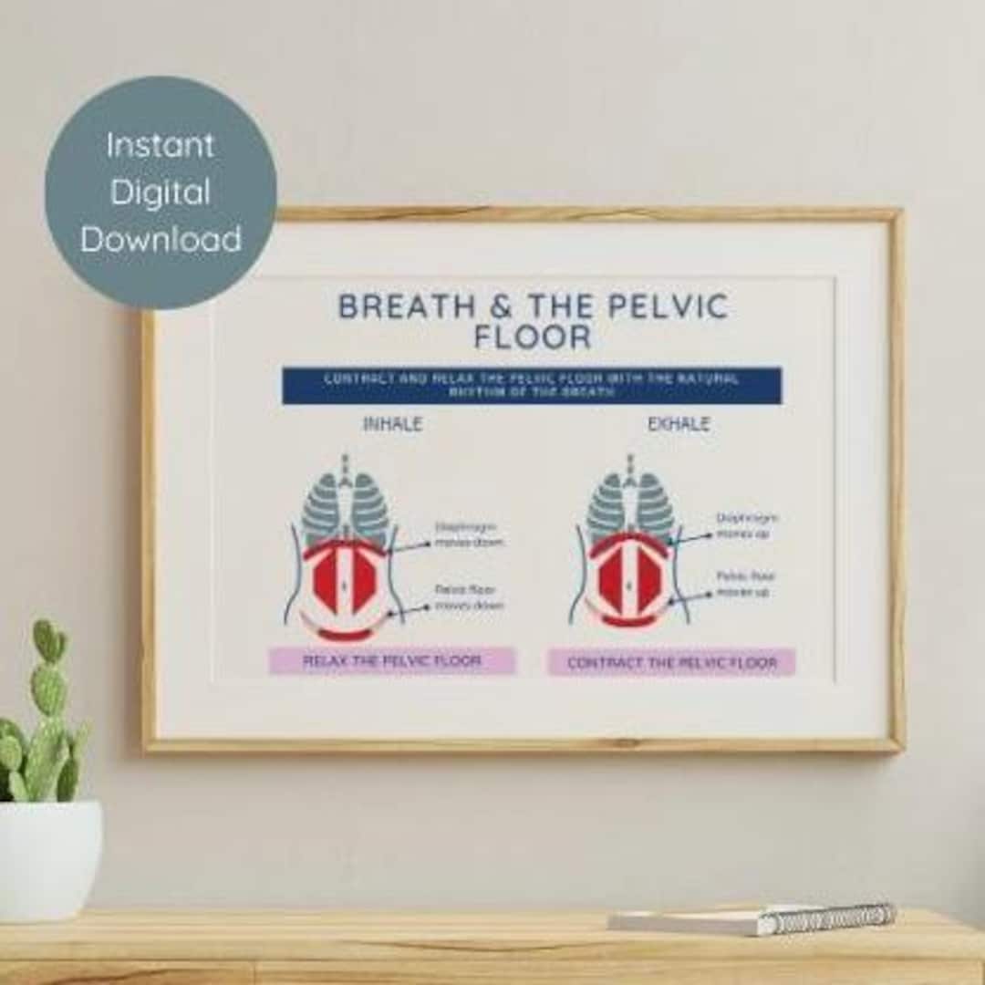 Physical Therapy Pelvic Floor Poster | Pelvic Floor Physical Therapy ...