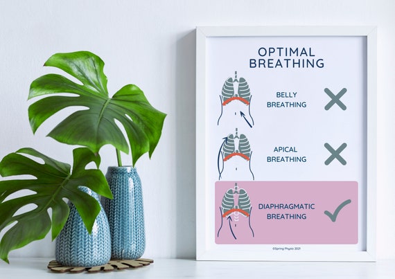 Physical Therapy Optimal Breathing Breathing Poster Yoga | Etsy