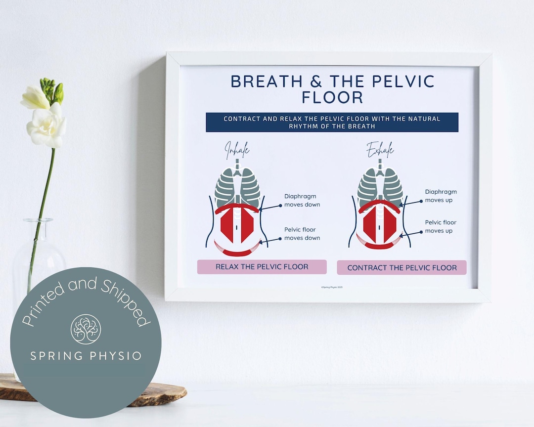 Breath-pelvic Floor Horizontal Poster, Yoga Studio Decor - Etsy