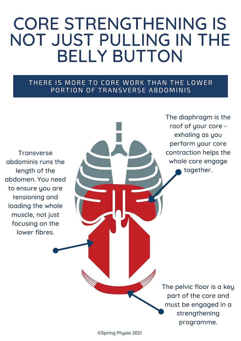 Physical Therapy Core & Pelvic Floor Poster Pilates Art Pelvic Floor ...