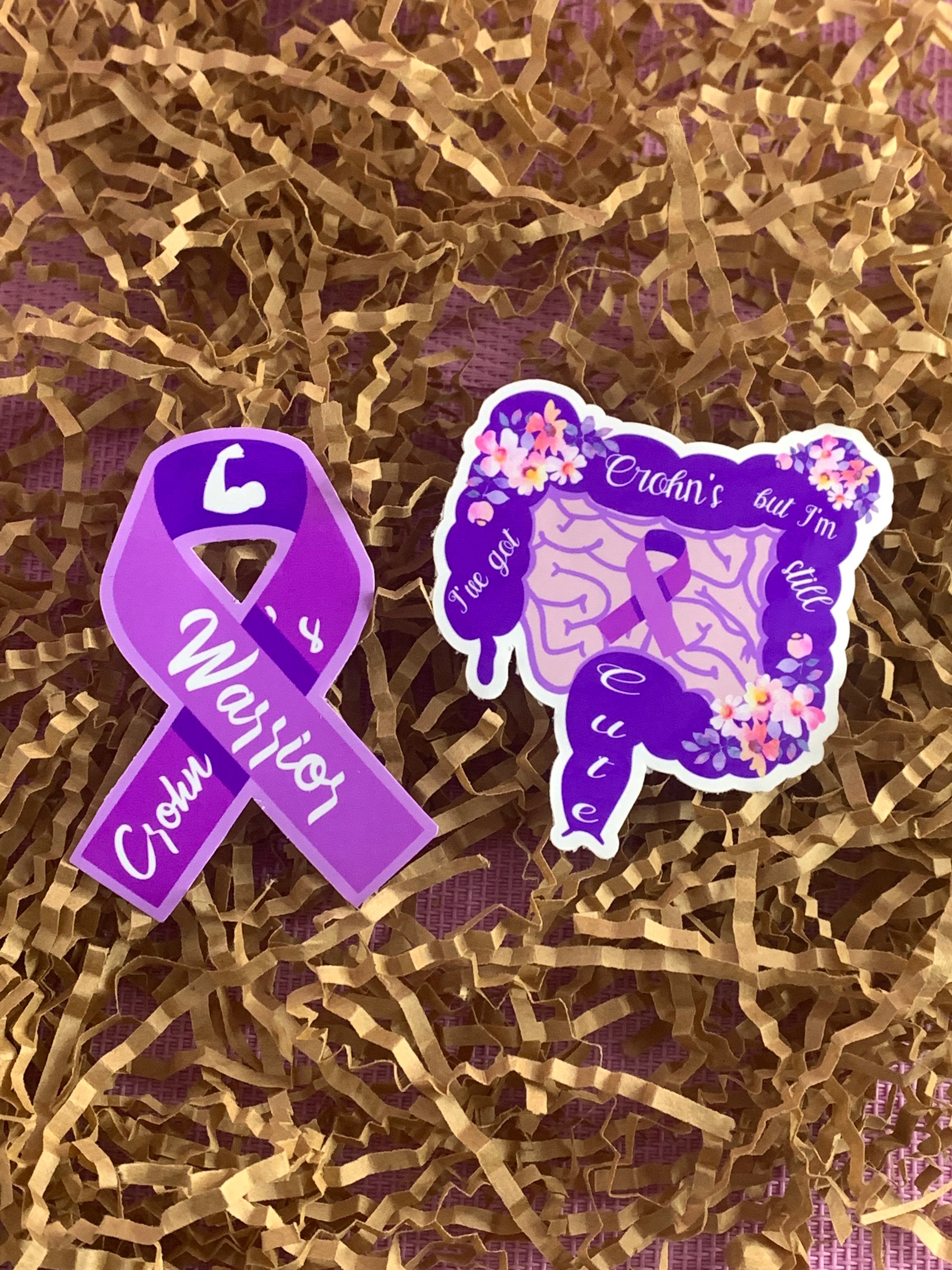 Crohns Disease Stickers l Decal / Crohns Awareness Ribbon l | Etsy