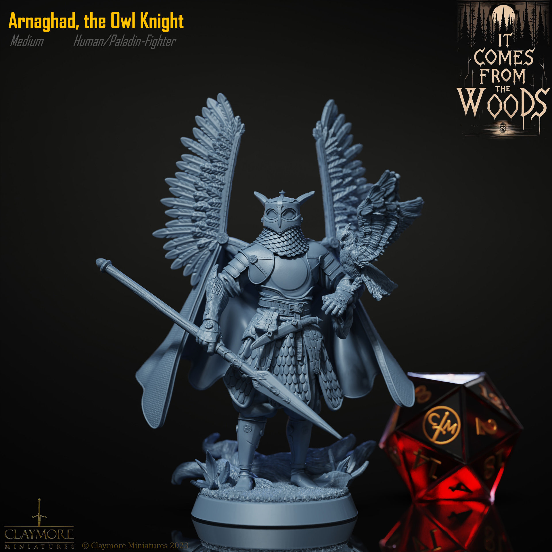Arnaghad, the Owl-knight - Human Fighter/paladin - It Comes From the ...