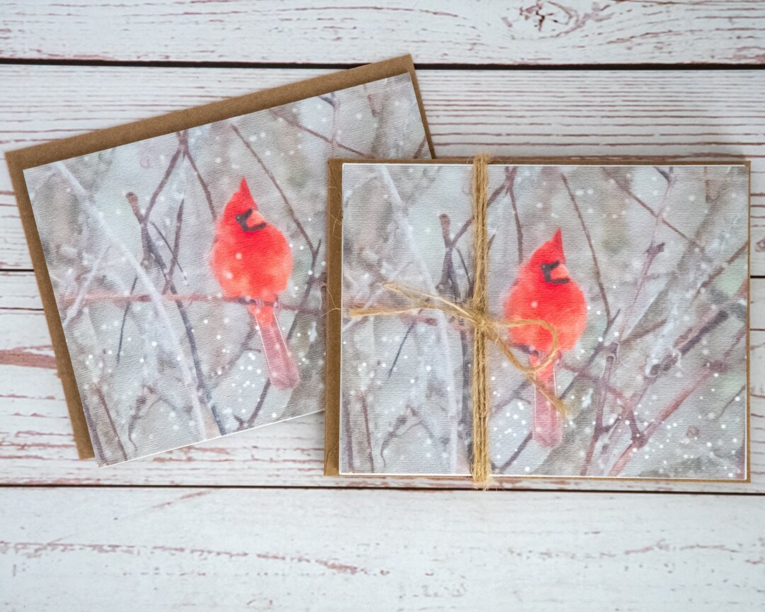 Winter Cardinal Card Set. Woodland Card Set. Holiday Cards. Christmas ...