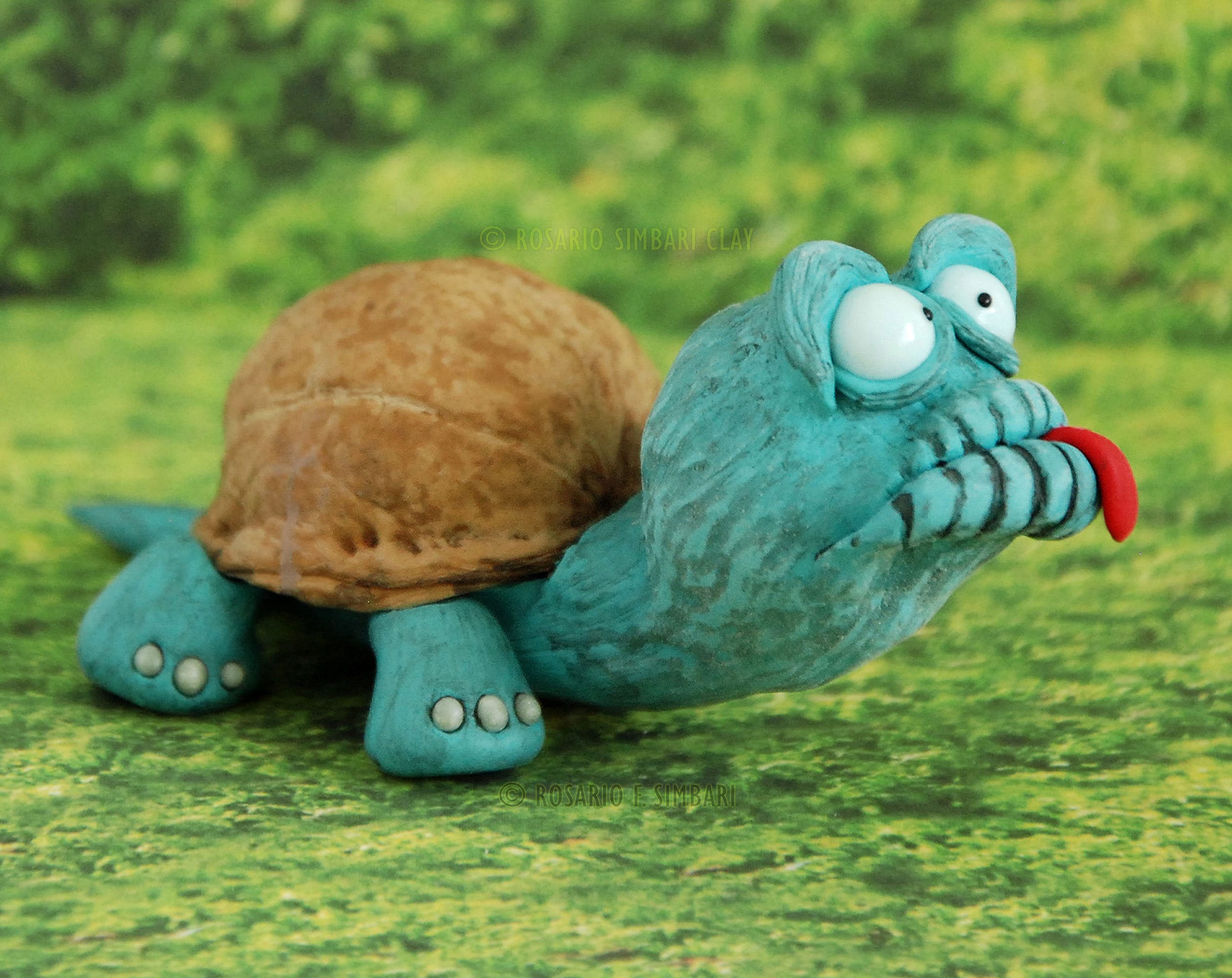 Aangepaste Schildpad Schildpad raar griezelig schattig - Etsy België