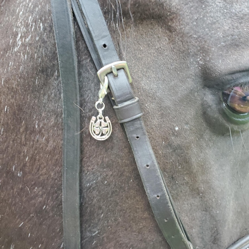 Bridle Charm for Horses - Etsy