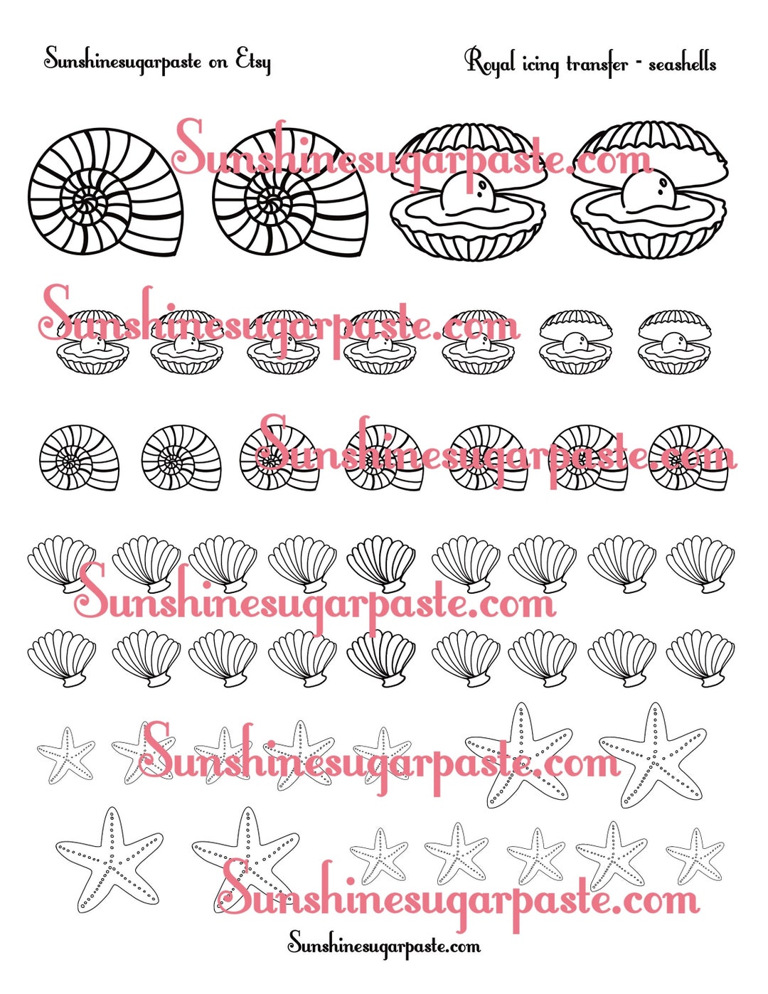 Seashells - Royal Icing Transfer Sheet - Etsy
