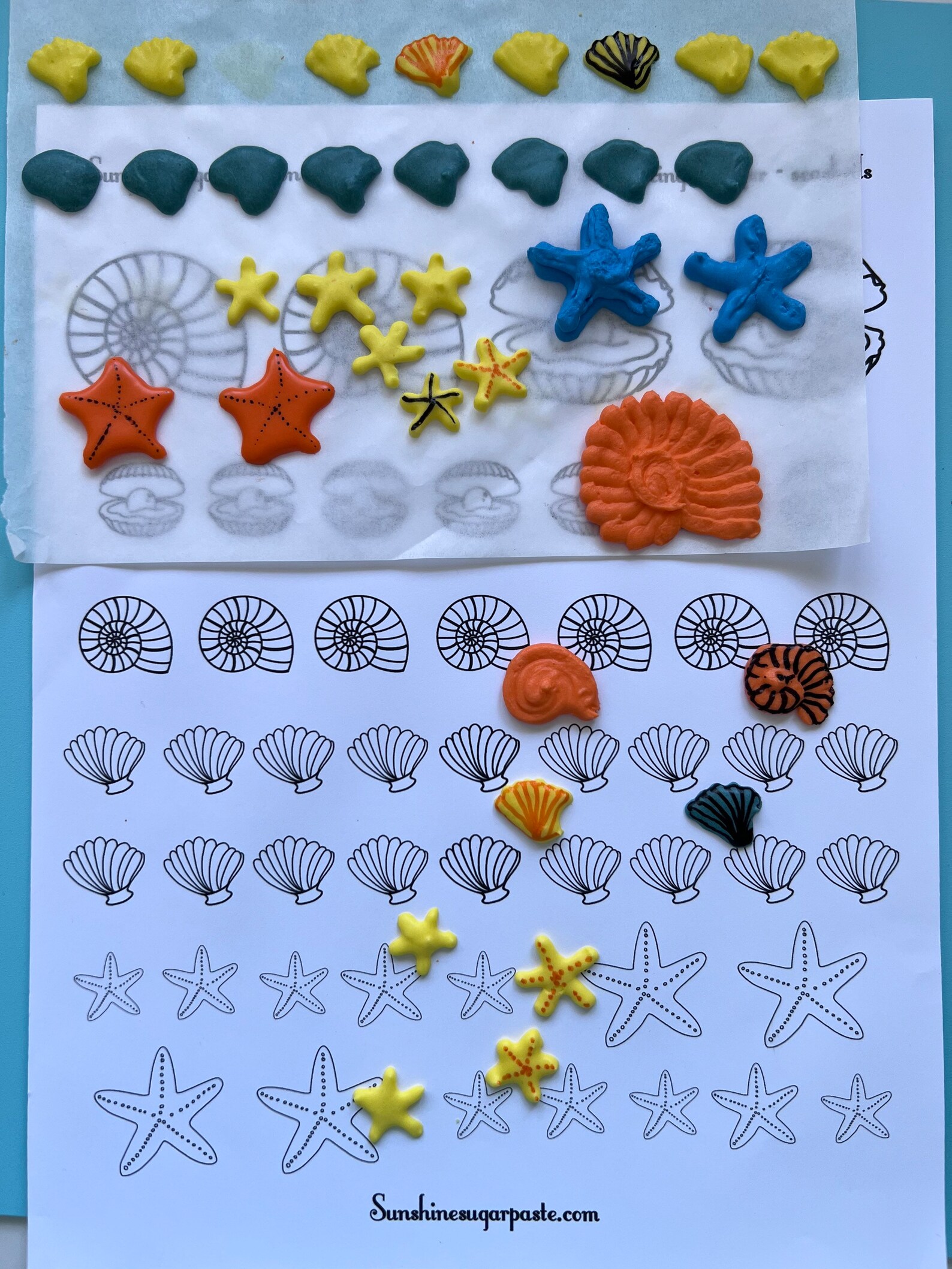 Seashells - Royal Icing Transfer Sheet - Etsy