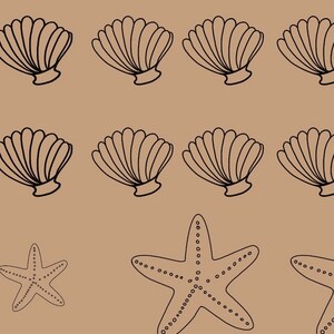 Seashells - Royal Icing Transfer Sheet - Etsy