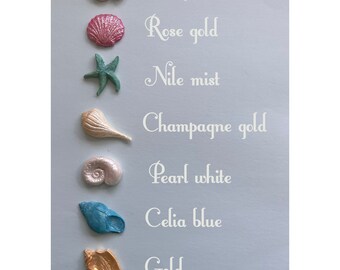 25 or 50 Edible Fondant Seashells for Cake or Cupcake Decorations - Etsy