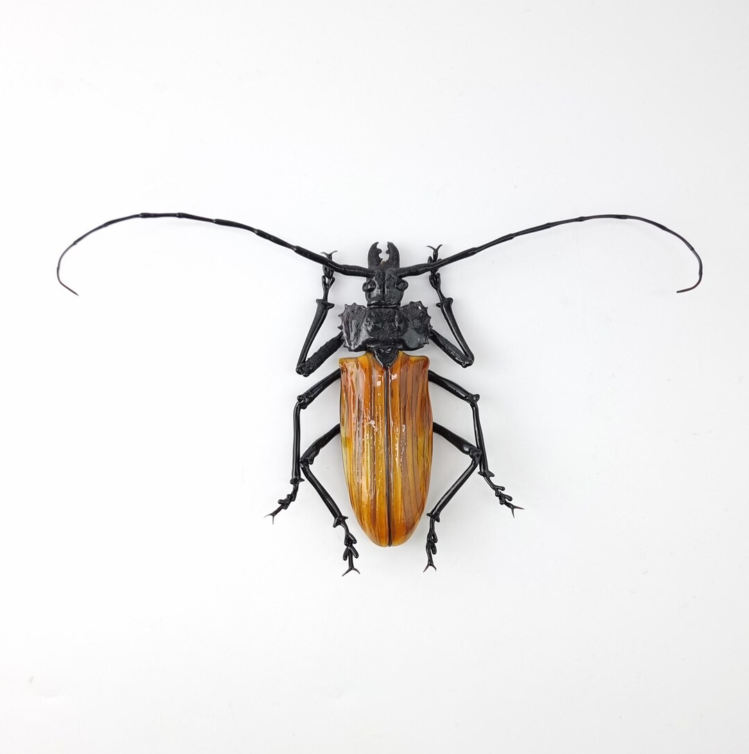 Giant Fijian Longhorn Beetle Sculpture, Hand Blown Glass Insect ...