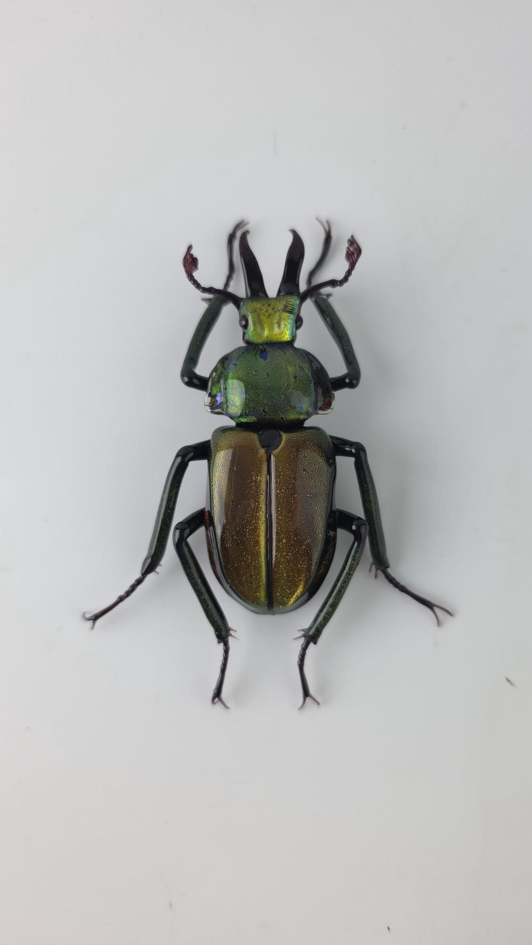 Sphaenognathus Metalliferi, Glass Lucanidae Beetle Sculpture, Hand ...