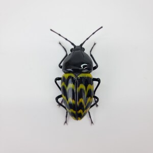 Glass Ground Bug Sculpture, Hand Blown Glass Insect Lampwork Figurine ...