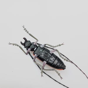 Glass Longhorn Beetle, Hand Blown Glass Insect Lampwork Figurine ...