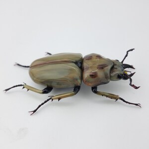 Glass Lucanidae Beetle, Cerambycidae Sculpture, Hand Blown Glass Insect ...