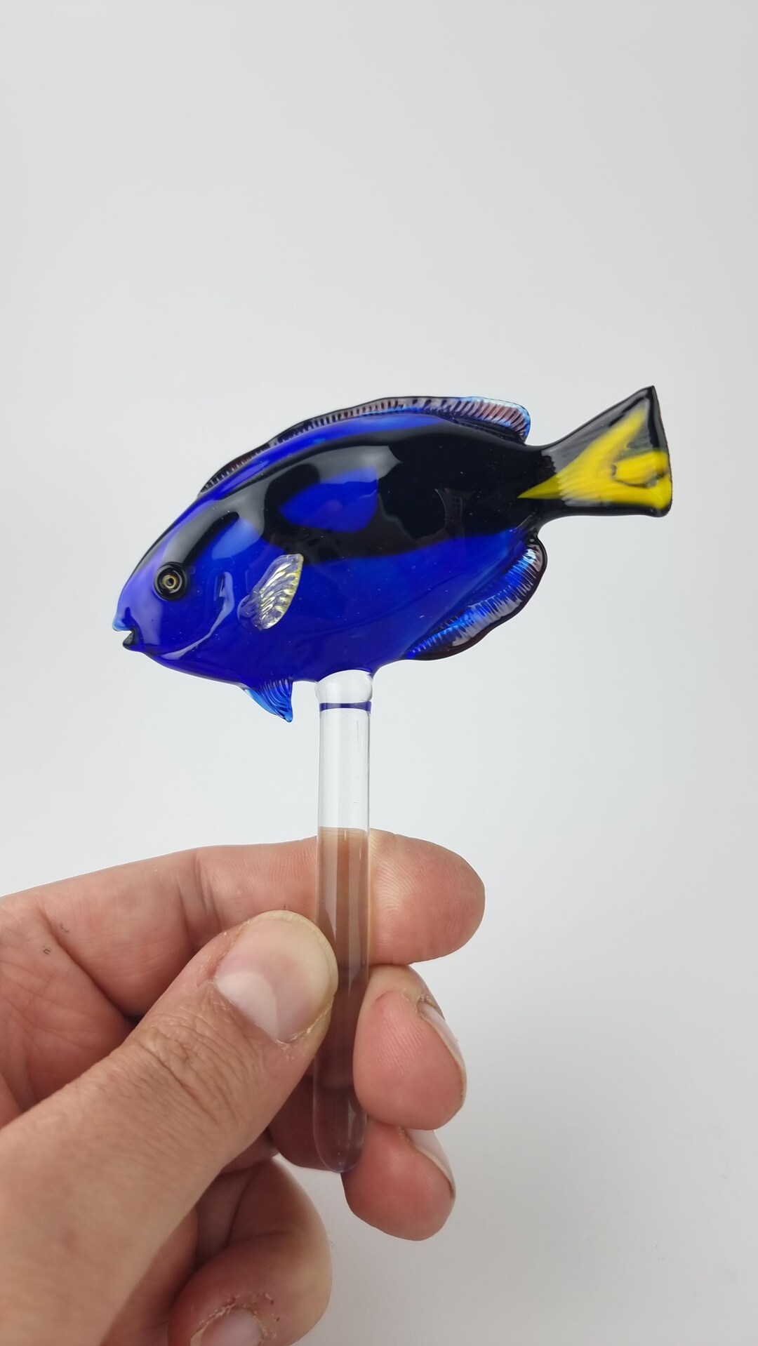 Blue Tang Glass Fish With Glass Rod Handle, Hand Blown Glass Fish ...