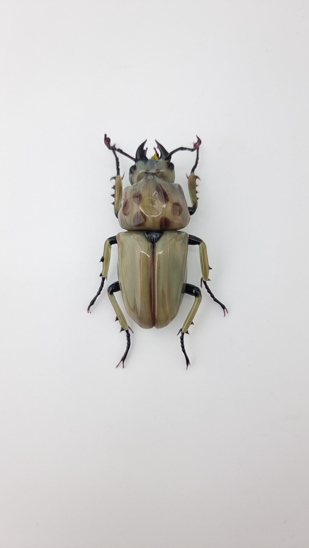 Glass Lucanidae Beetle, Cerambycidae Sculpture, Hand Blown Glass Insect ...