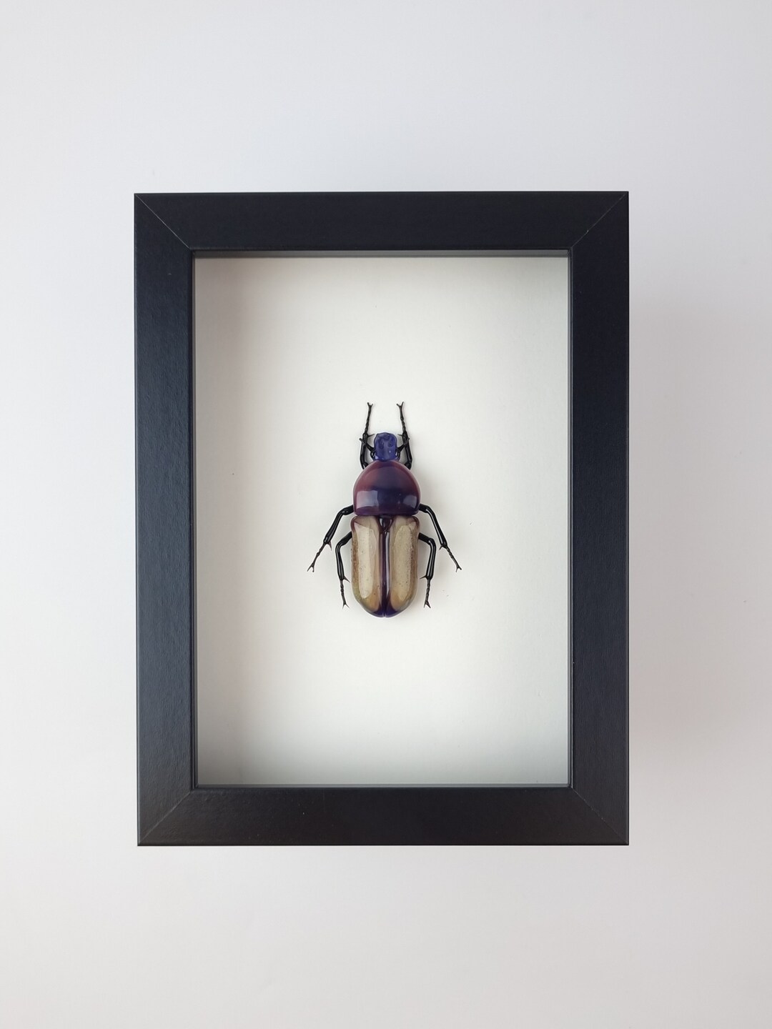 Glass Beetle Sculpture, Chlorocala Africana, Realistic Glass Bug, Hand ...