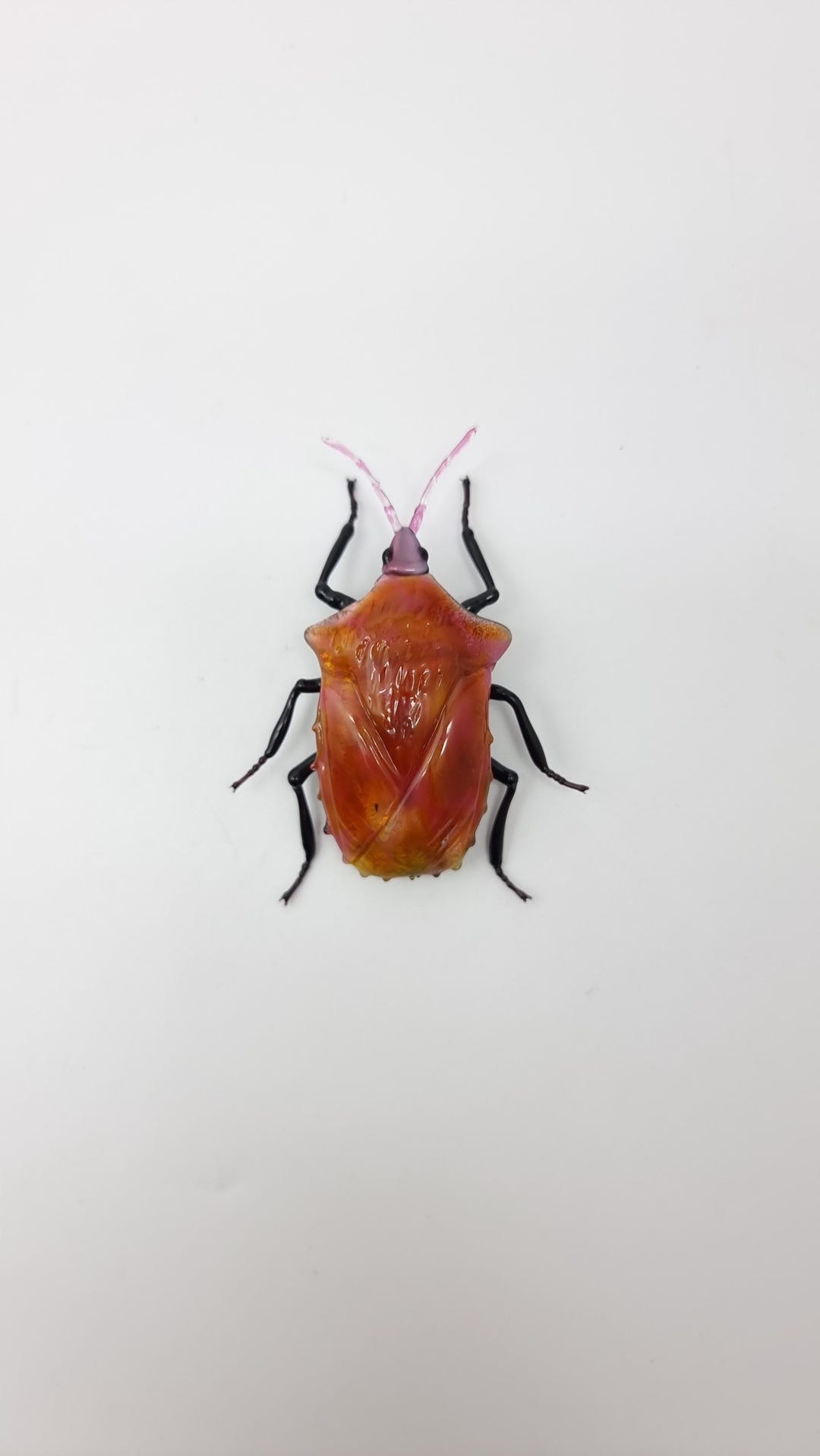 Red-fusia Shield Bug Sculpture, Hand Blown Glass Insect Lampwork ...