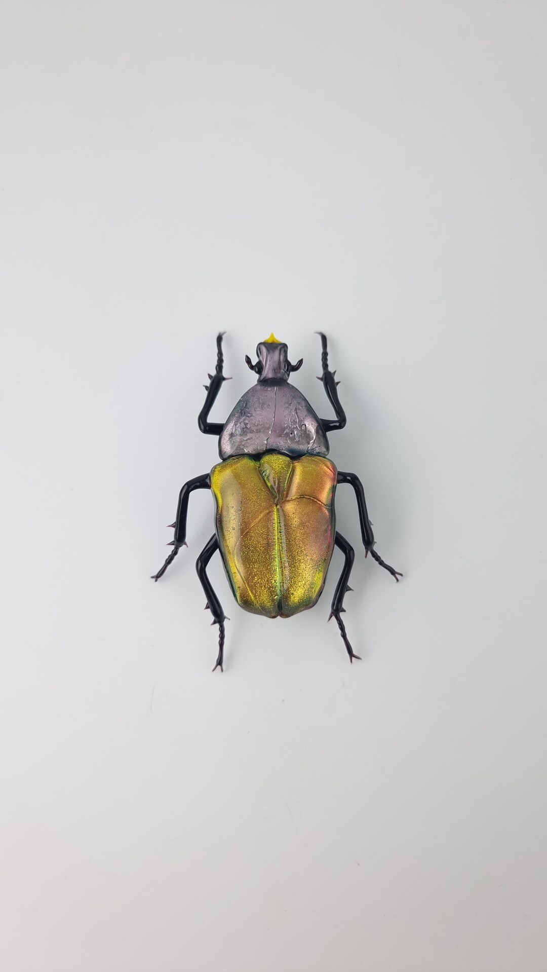 Flower Beetle Glass Sculpture, Hand Blown Glass Insect Lampwork ...