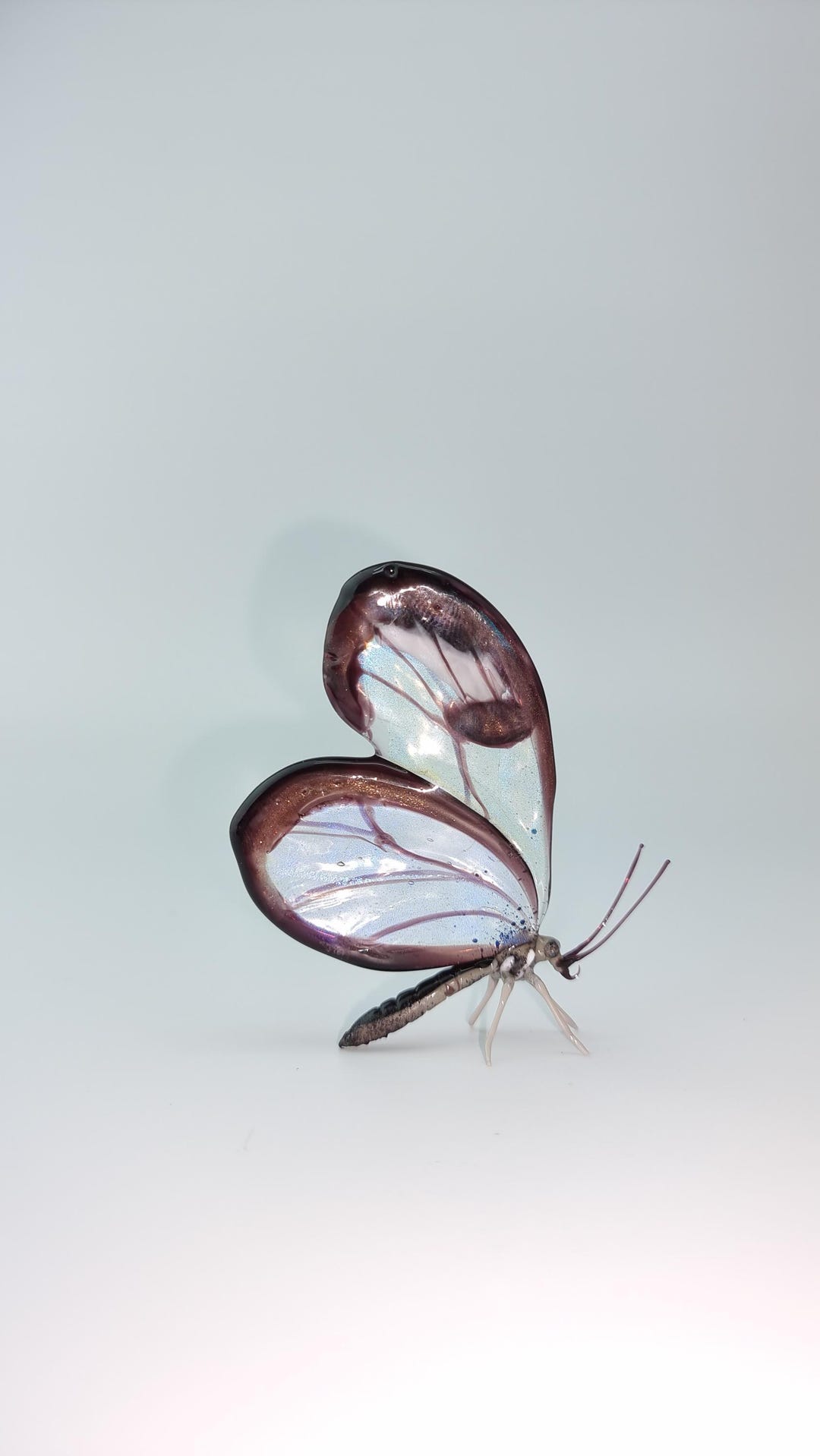 Close Wing Dichroic Glasswing Butterfly , Hand Blown Glass Insect ...